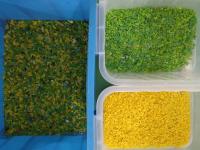 China Random Color Plastic Color Sorting Machine For Sorting PP PVC PET HDPE PE for sale