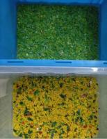 China CCD Plastic Colour Sorting Machine Multi Functional ISO9001 approval for sale