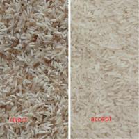 China Wenyao 220V 50HZ Rice Color Sorter Machine 99 Sorting Accuracy for sale