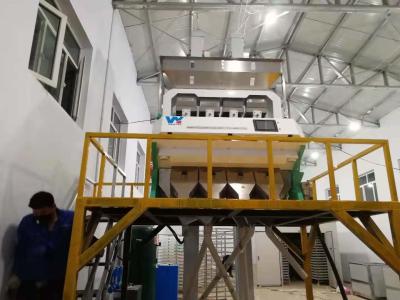 China Split Blanched Peanut Color Sorter Machine Peanuts Color Sorting Machine for sale