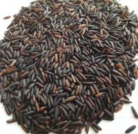 China Intelligent CCD Nir Sensor Black Rice Sorter For Rice Mill Grading Processing Rice for sale