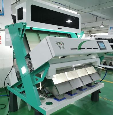 China 220V 50HZ Corn Bean Wheat Color Sorting Machine High Sorting Accuracy for sale