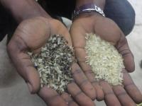 China Brown Rice Color Sorter Machine For Sorting Brown Rice In Small Rice Mill for sale