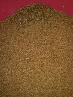 China 3t/h 4 Chutes Multi Grain Sorting Machine for Barley Wheat for sale