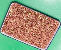 China 4 Chutes Nuts Color Sorter , 256 Channels Optical Peanut Machine for sale