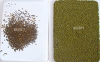 China Multi-Functional Mung Bean Color Sorter Machine Green Mung Beans Colour Sorting Beans Color Sorte Machine for sale