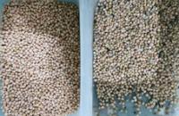 China High Capacity Chickpea Color Sorter Agricultural Equipment Processing Beans CCD Color Sorting Machine For Chickpea for sale