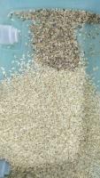 China Red Rice Color Sorter Machine For Separating Inferior Quality Red Rice for sale