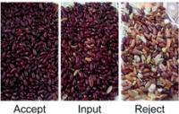 China White Red Kidney Beans Color Sorter Kidney Bean Sorting Machine With RGB CCD Sensor for sale
