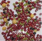 China Color Sorter Red Bean Color Sorting Machine Automactic Intelligent CCD Color Separator for sale