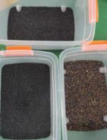 China Hot Sale CCD Color Sorter For Black Beans Grading Machine For Farm Processing Beans for sale