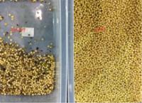 China Red Bean Processing Machine White Kidney Color Sorter Mung Bean Separator Machine for sale