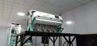 China Intelligent Agriculture Black Tea Sorting Machine CE Certification for sale