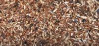 China Manufacturer  Flax Seed Sorting Machine Sesame Seeds Color Sorter Agricultural Equipment for sale
