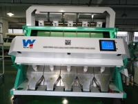 China 2021 Hot Selling 5 Chutes Candlenut CCD Nuts Color Sorter In Nuts Processing Line for sale
