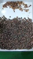 China 2021 Hot Selling 5 Chutes Candlenut CCD Nuts Color Sorter In Nuts Processing Line for sale