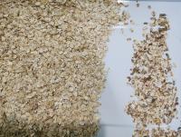China High Output Oat Sorter Color Machine With Optical Ccd Color Sorter for sale
