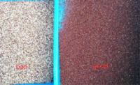 China Factory Sale High Technology Grains Color Sorter For Grains Industry With World Brand for sale
