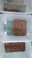 China Automatic CCD Grain Color Sorter , 3t/h Pepper Sorting Machine for sale