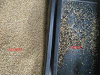 China 1 Chute 64 Channels Wenyao Color Sorter for Rye seeds for sale