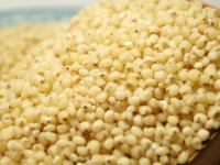 China Wenyao Grain Color Sorter , Sorghum Sorting Machine CE ISO9001 for sale