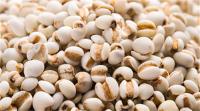China Wenyao Coix Seed Sorting Machine , 64 Channels Seed Separating Machine for sale