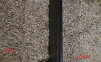 China Pumpkin Seeds Separating Machine Pumpkin Separator Machine Pumpkin Colr Sorter for sale