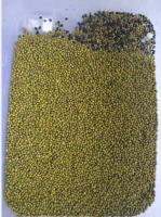 China Fully Automatic Soybean Color Sorter / Red Bean / Mung Bean / Coffee Bean Color Sorting Machine for sale