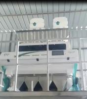China WENYAO Color Sorter Machine For Rice Grain Bean 4 Chutes for sale