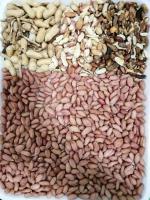 China Nut Color Sorter Machine Grain Color Sorter Electric Peanut Color Sorter Machine for sale