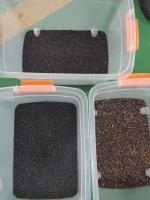 China New Condition  Black Beans Color Sorter Machine With Wifi Remote Control for sale