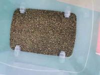 China Chili Seed Vegetable Sorting Machine With High Speed Camera for sale
