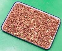 China 5 Chutes High Accuracy Peanut Color Sorter Machinery For Sorting Peeled Peanuts for sale