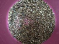 China Dried Onion Slices Vegetable Sorting Machine 448 Channels for sale