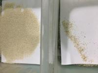 China Regular Dessicated Coconut Color Sorter Machinery For Sorting Yellow Coconut Particles for sale