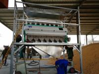China 5400 Pixel CCD Camera Brown rice Color Sorting Machine With 7 Chutes And Power 3.9Kw for sale