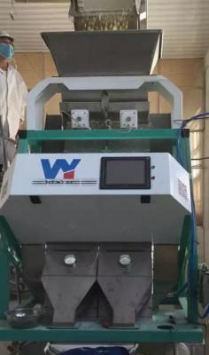 China Multifunction Sunflower Seeds Peanut Kernel Sorter Machine Black Kidney Bean Pistachio Nut Color Sorter for sale