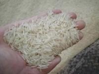China WENYAO Agriculture Rice Color Sorter , Multifunctional Grain Color Sorter Machine for sale