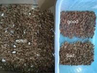 China CCD Colour Pistachio Sorter Pistachio Machine For Processing Nuts Equipment Pistachio Sorting Machine for sale