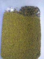 China Intelligent Green Bean Colour Machine Beans Ccd Color Sorter Machine for sale
