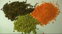 China Toshiba CCD sensor Beans Color Sorter , Lentils Millet Sorting Machine for sale