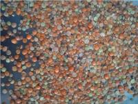 China Toshiba CCD sensor Beans Color Sorter , Lentils Millet Sorting Machine for sale