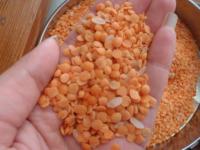 China Toshiba CCD sensor Beans Color Sorter , Lentils Millet Sorting Machine for sale