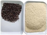 China 10 Chutes 15T/H Rice Color Sorter With Imported LED Light for sale