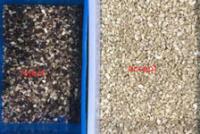 China Cashew Processing Machine Cashew Sorting Machine Cashew Color Sorter Machine for sale