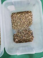 China Agricultural Equipments Cardamom Color Sorter Machine  /Cardamom Separating Machine for sale