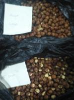 China Hazelnut Color Sorter Hazelnut Separator Machine Hazelnut Processing Sorting Mahince for sale