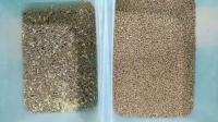 China 240V 54 Million Pixels Wheat Color Sorter , Digital Wheat Sorter Machine for sale