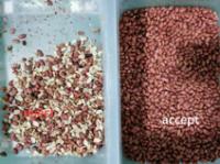China Metal Ejector Groundnut Machine , CCD Camera Peanut Color Sorter for sale