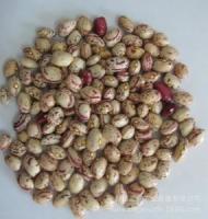 China Multifunction Newest Software Kidney Beans Color Sorting Machine Beans Color Sorter for sale